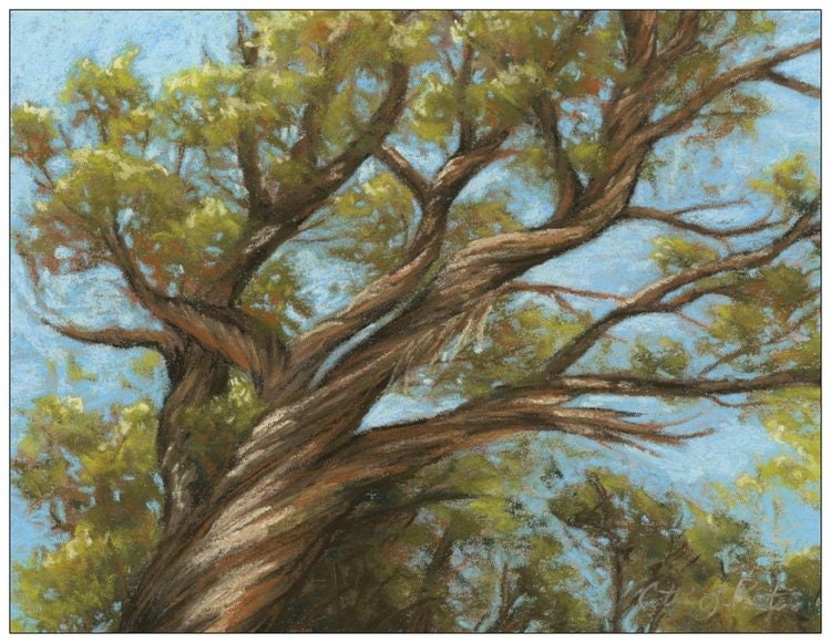 Tree Note Card Set Autumn Leaves Stationery Boxed Gift Set | Etsy