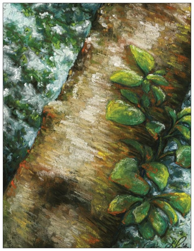 Tree Note Card Set Autumn Leaves Stationery Boxed Gift Set | Etsy