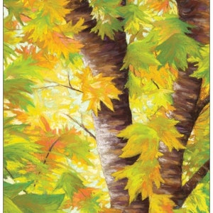 Tree Note Card Set Autumn Leaves Stationery Boxed Gift Set - Etsy