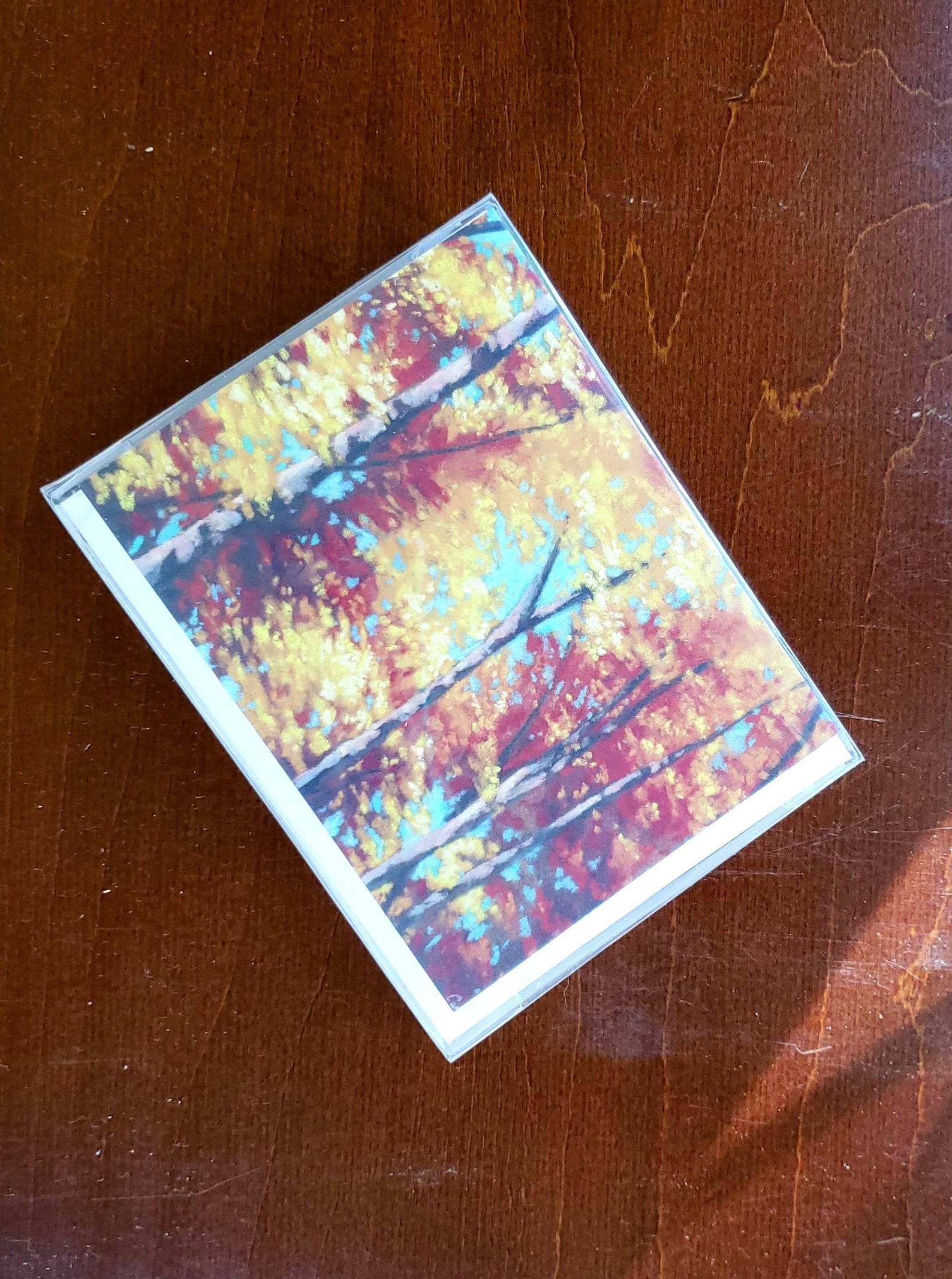 Tree Note Card Set Autumn Leaves Stationery Boxed Gift Set | Etsy