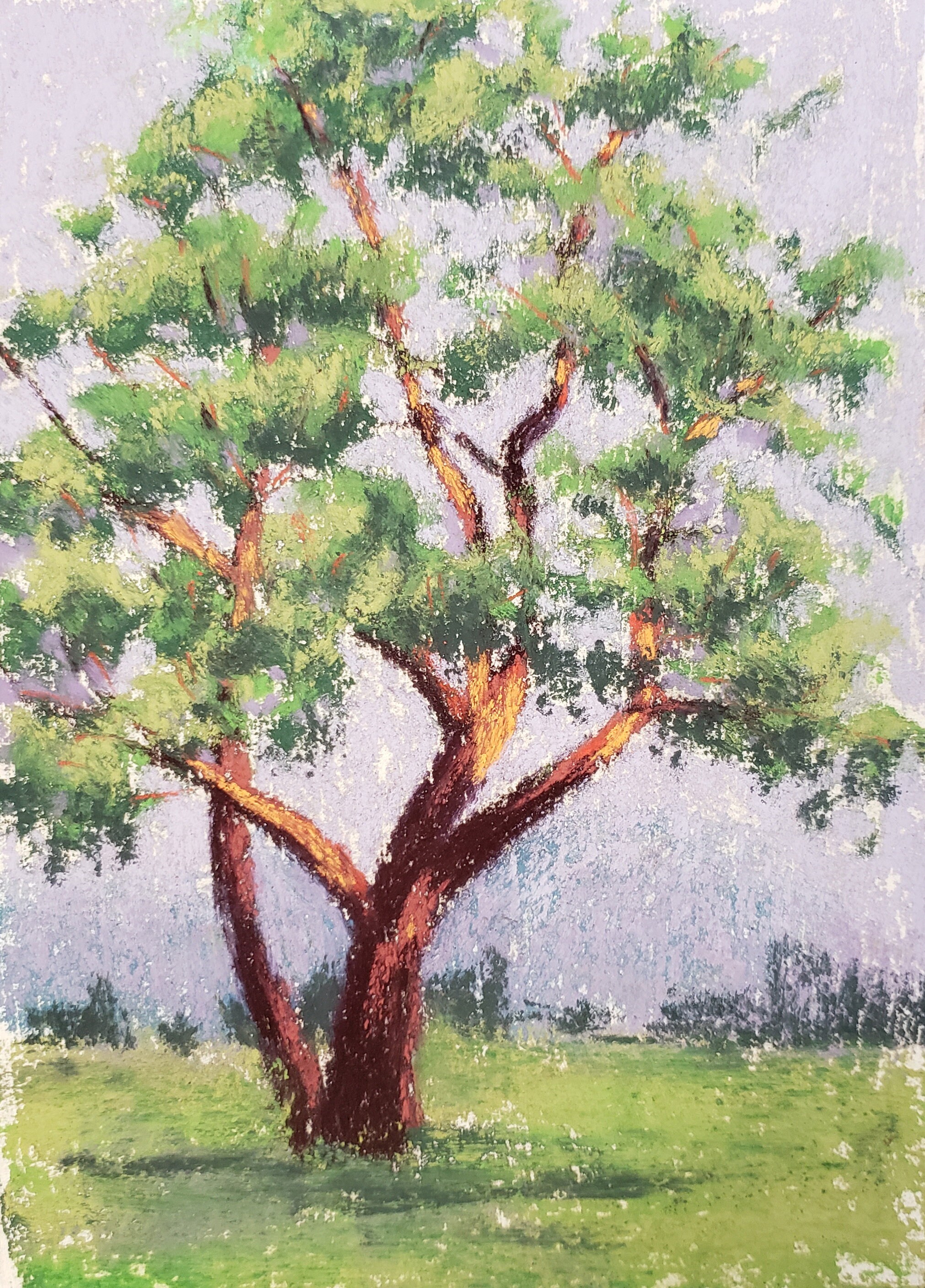 Tree Original Mini Pastel Painting Study Small Original | Etsy