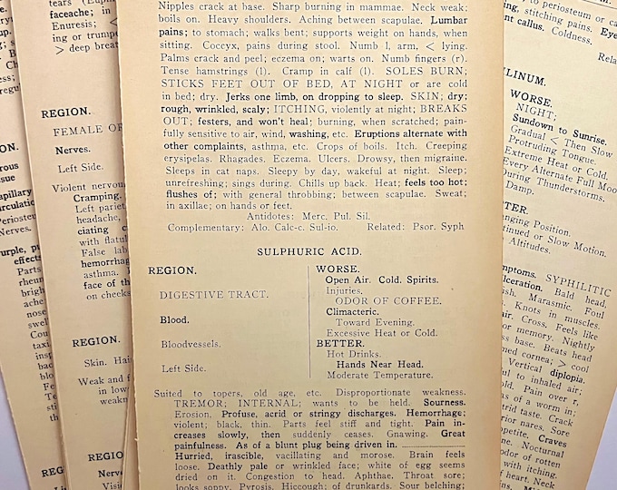 18 Vintage Medical Book Pages, A Synoptic Key of the Materia Medica, by ...