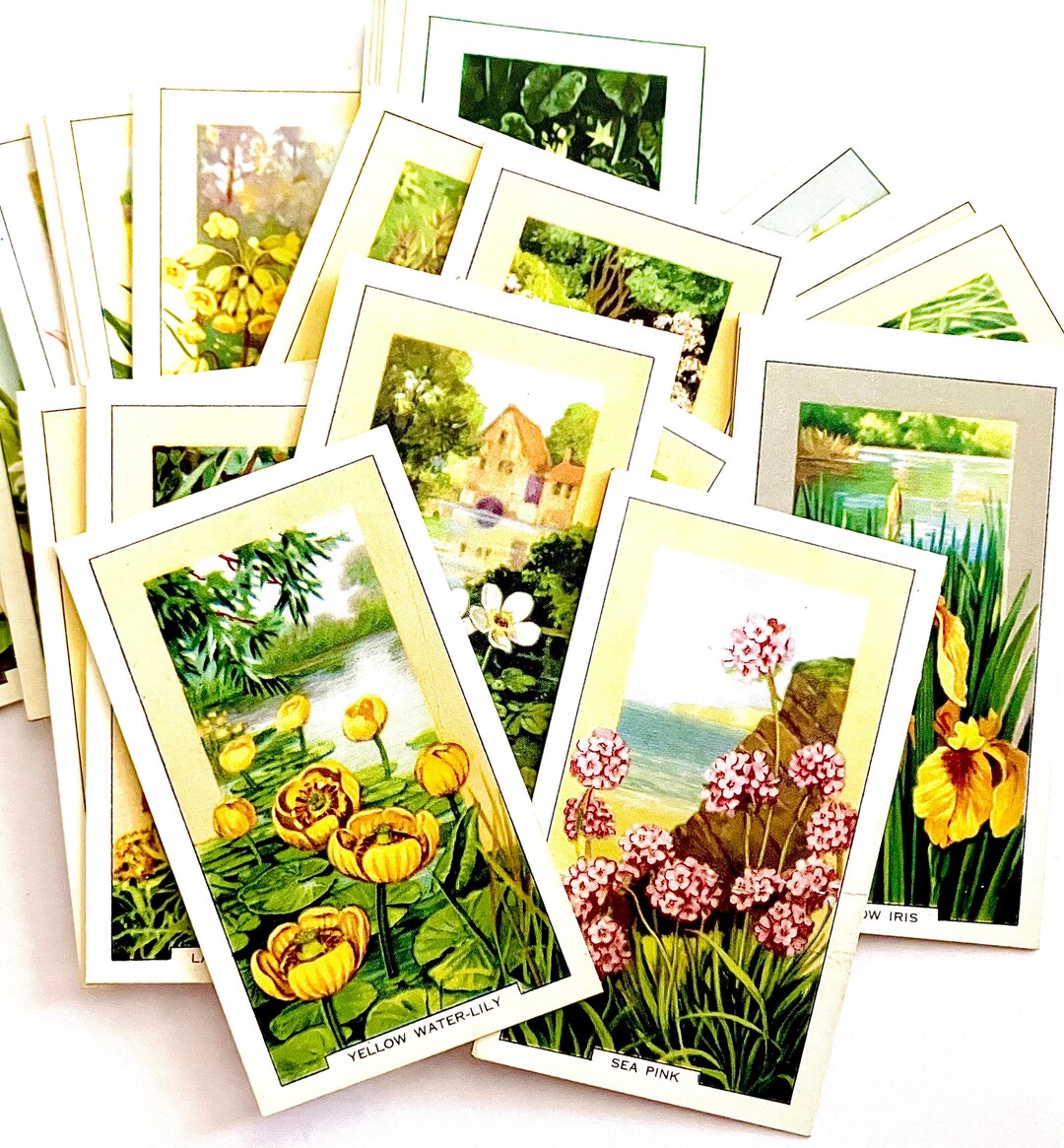 20 Wild Flowers Floral Vintage Trading Cards, Vintage Ephemera, Junk ...