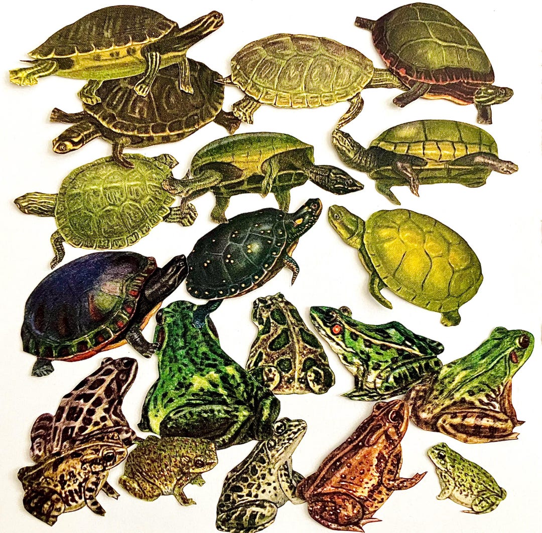 20 Vintage Turtles, Frogs and Toads Fussy Cuts, Ephemera for Junk ...