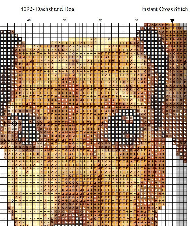 Dachshund Dog Counted Cross Stitch Pattern 10.64 X 11.29 - Etsy