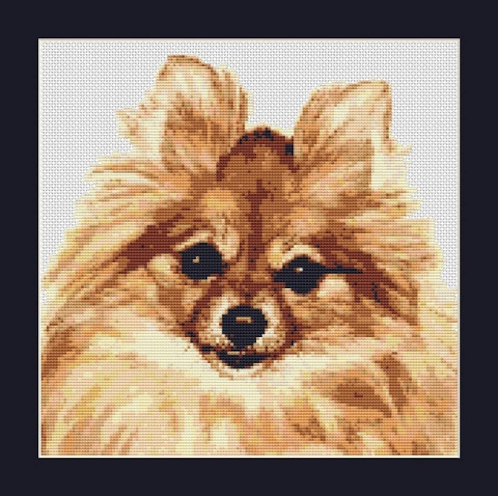 Pomeranian Dog Counted Cross Stitch Pattern in PDF for Instant | Etsy