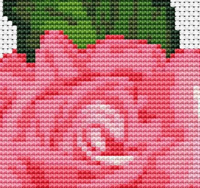 Pink Roses Counted Cross Stitch Pattern in PDF for Instant - Etsy