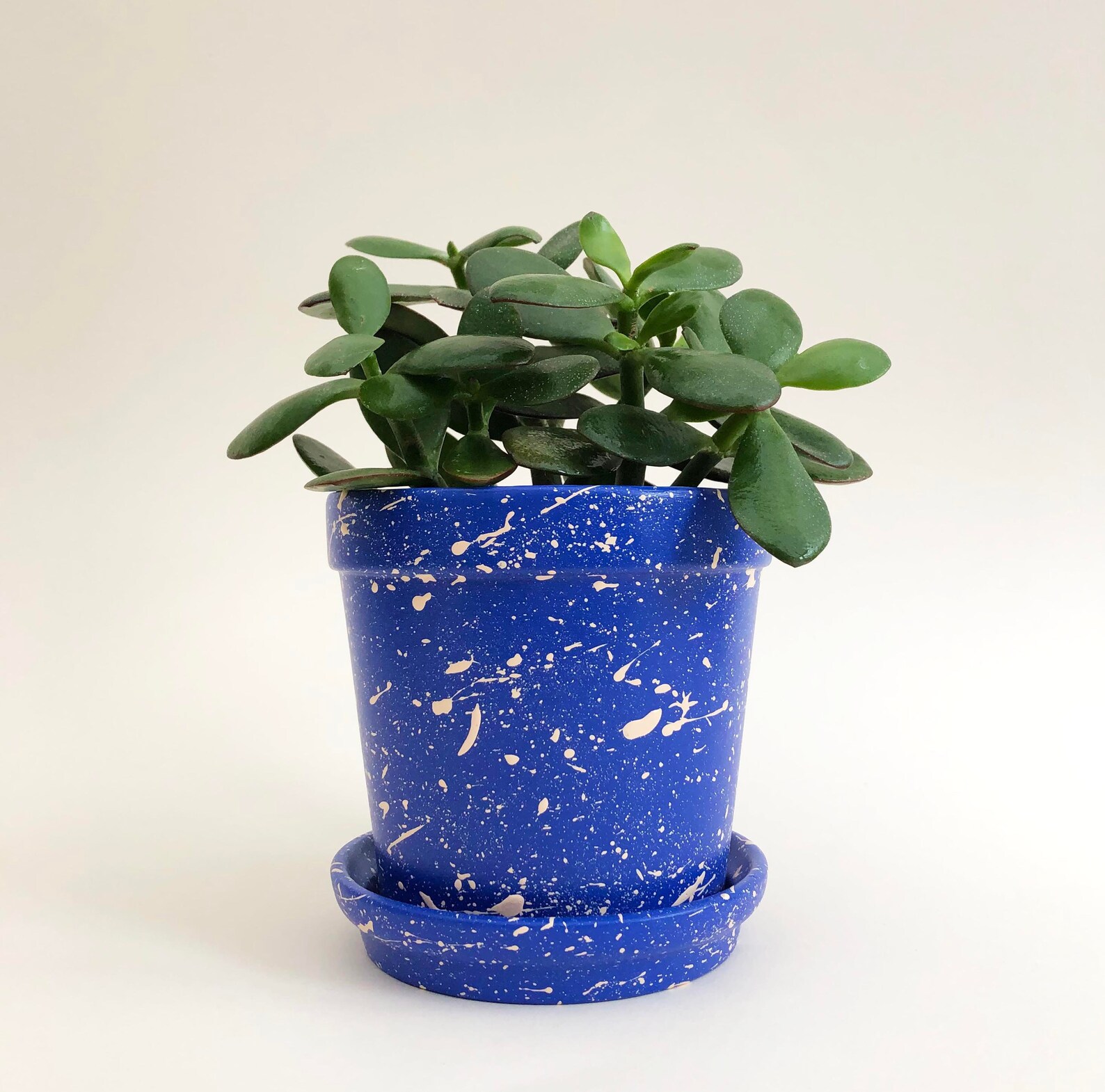 Medium Splatter Ceramic Plant Pot & Dish - Choose Your Colours - Etsy UK