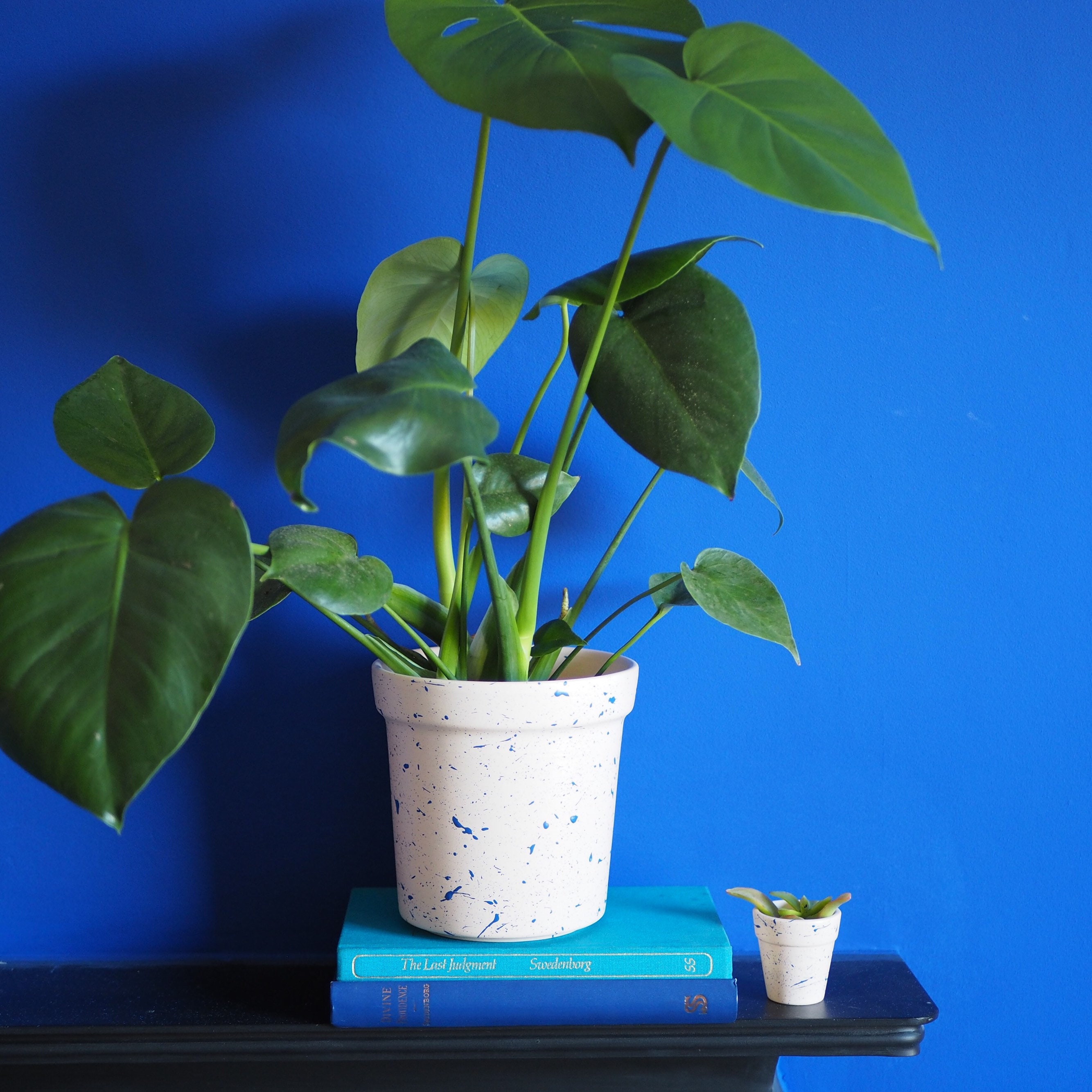 Large Splatter Ceramic Plant Pots Choose Your Colours | Etsy UK