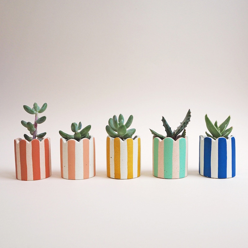 Scallop Edge Plant Pot - Etsy UK