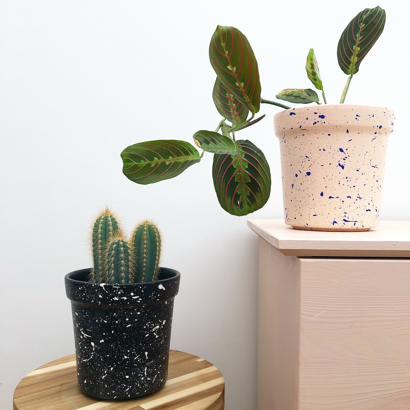 Large Splatter Ceramic Plant Pots - Choose Your Colours - Etsy