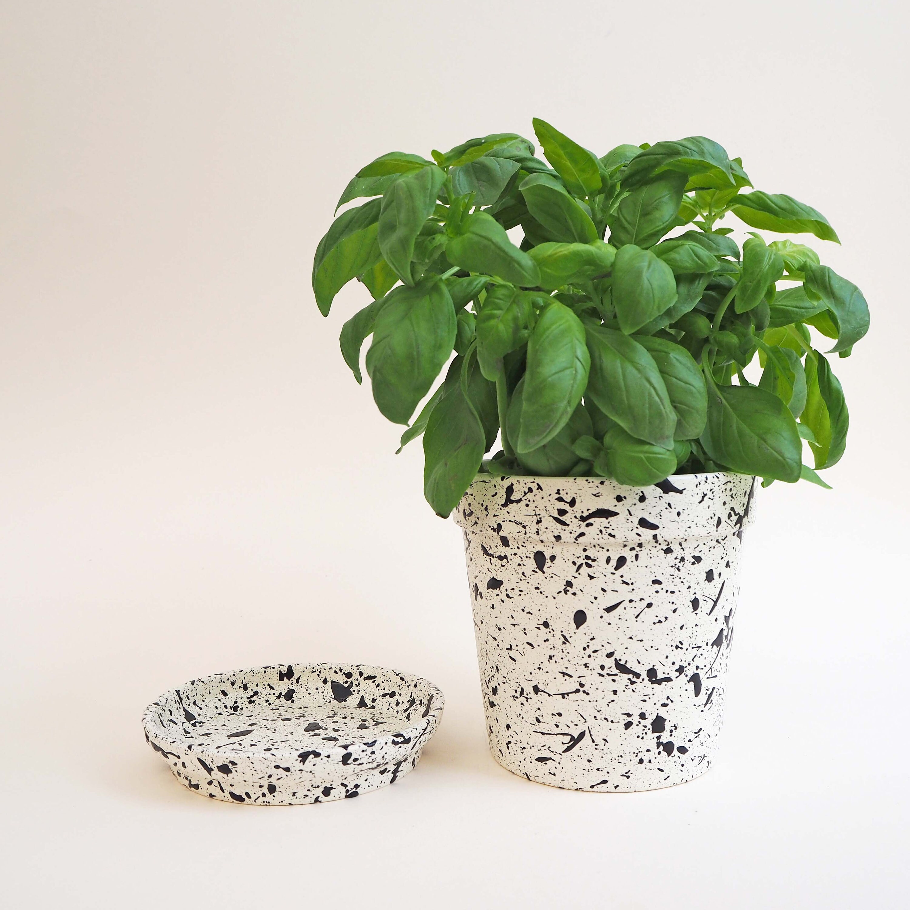 Medium Splatter Ceramic Plant Pot & Dish - Choose Your Colours - Etsy UK