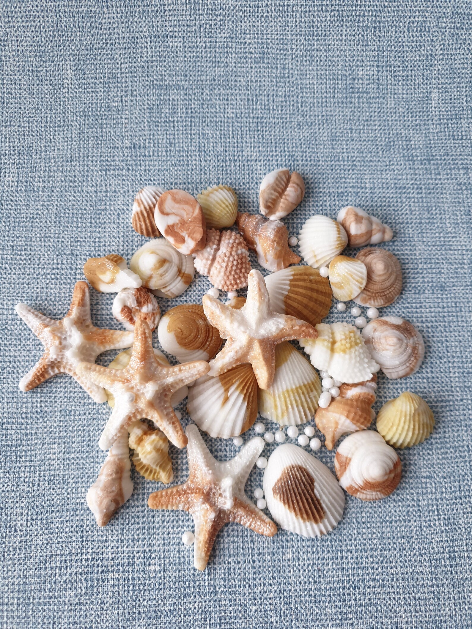 Realistic Seashells Set X 30 Fondant Beige Cake/cupcake - Etsy