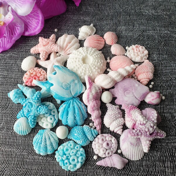 Seashell Cake - Etsy