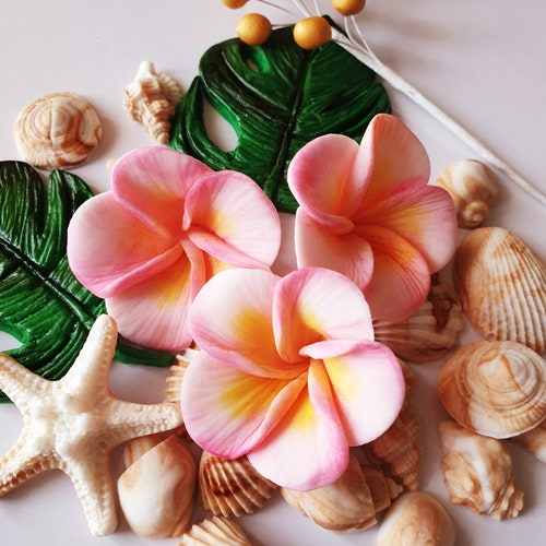 DIY Cake/cupcake Set Edible Sugar Sea Shells Plumeria and - Etsy