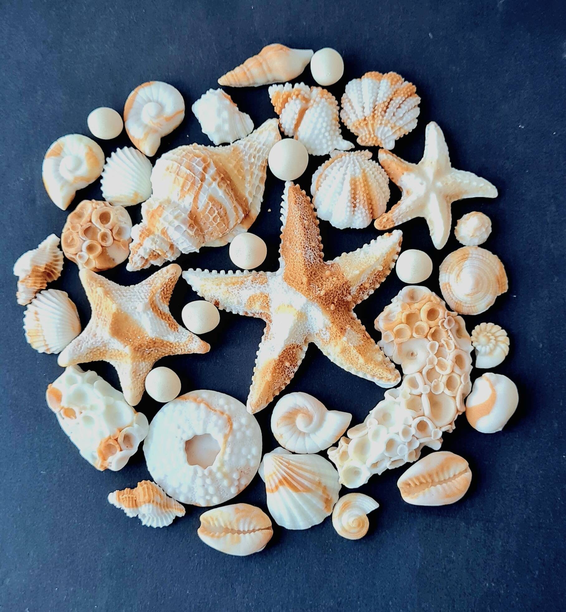 DIY Cake/cupcake Set Edible Sugar Sea Shells Plumeria and - Etsy