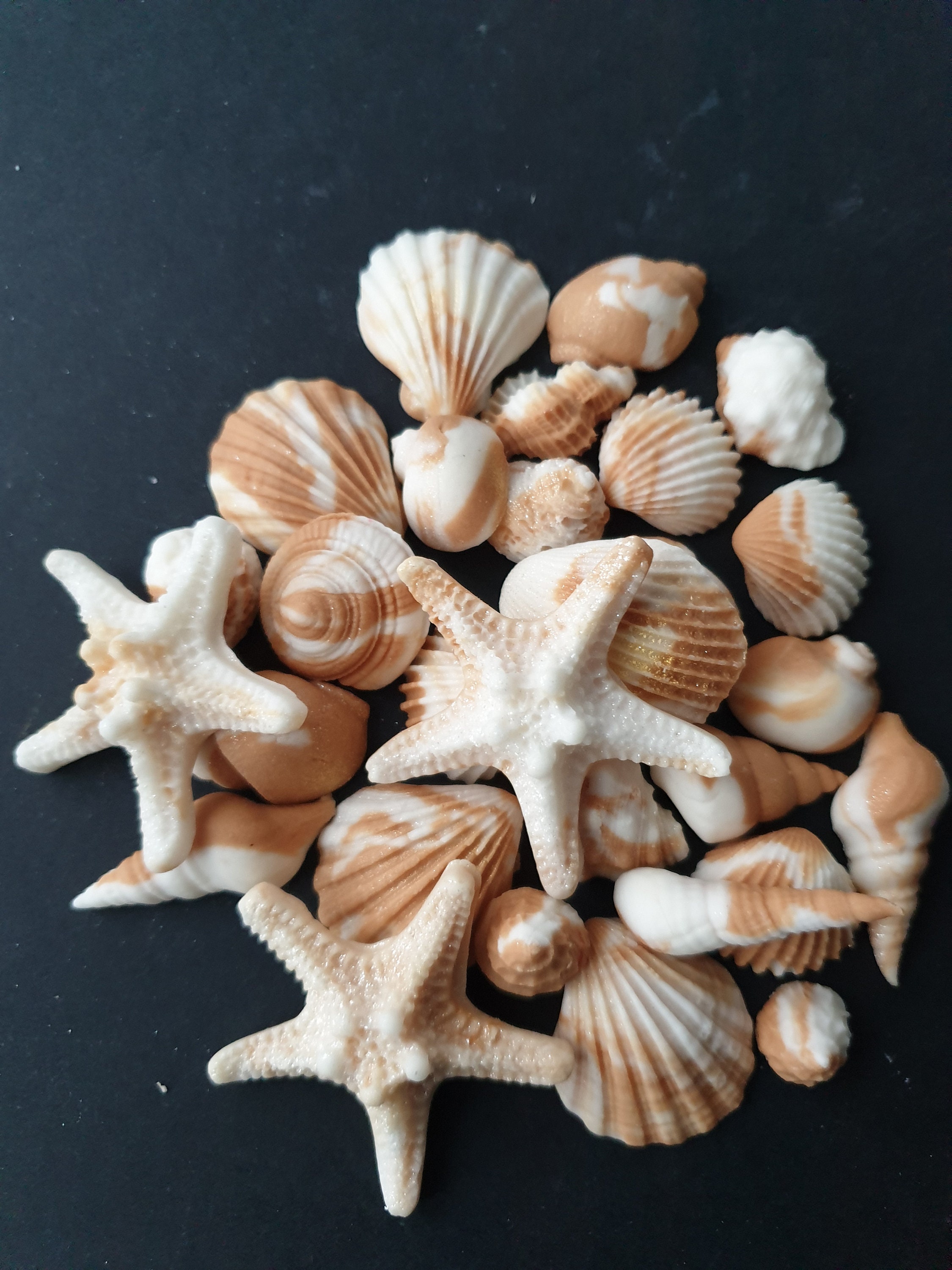 Realistic Seashells Set X 30 Fondant Beige Cake/cupcake - Etsy