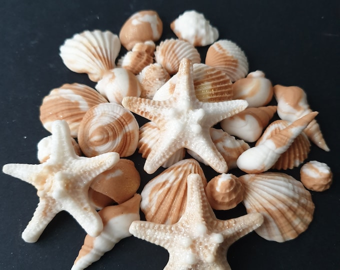 Realistic Seashells Set X 30 Fondant Beige Cake/cupcake Decorations DIY ...