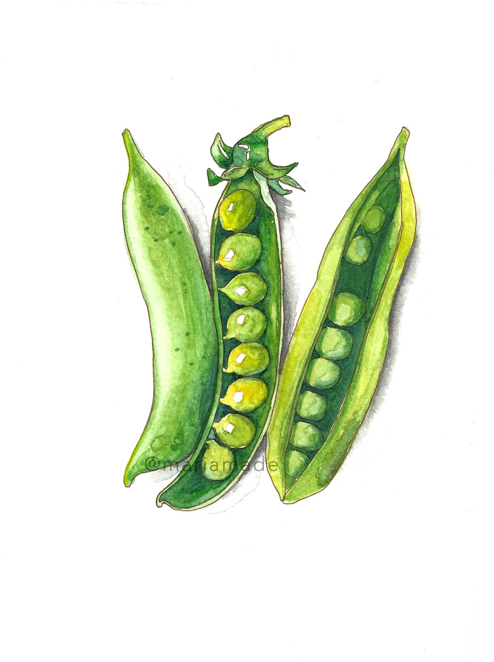 Sugar Snap Pea Pals Watercolor Print | Kitchen Wall Art | Pea Pod Art ...