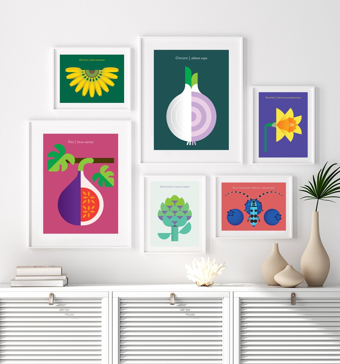 Modern Onion Art Print for the Kitchen Home Interior. Mid - Etsy