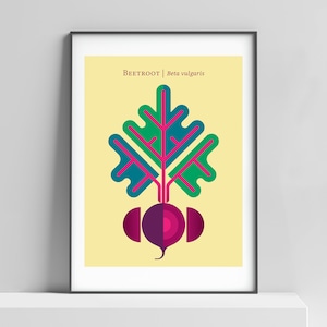 Beetroot Print Design for Kitchen, Restaurant Decor, Kids Room. Beet ...