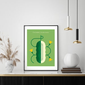 Cucumber Modern Art Print Illustration for the Home, Office, Kids Room ...