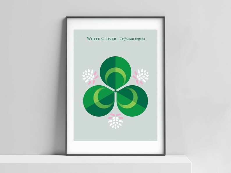 White Clover Modern Art Print for the Home, Office, Baby Room. Nature ...