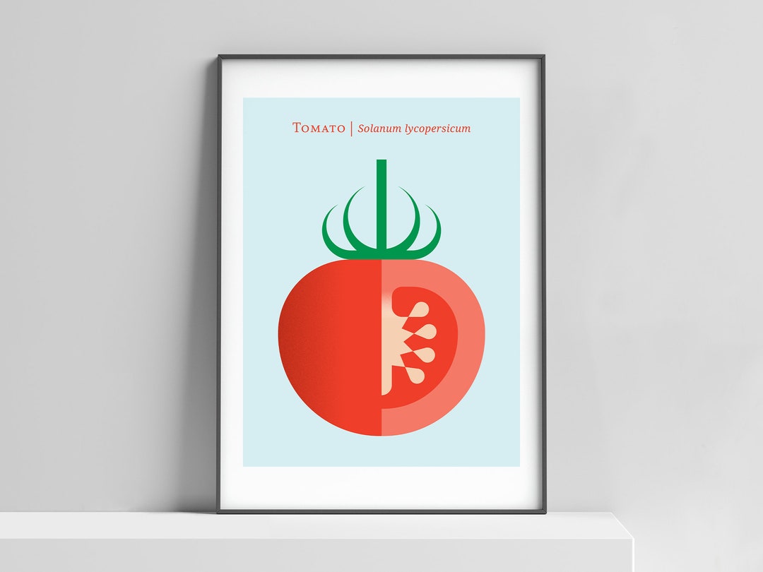 Modern Tomato Print for the Home. Kitchen Art, Vegetable Poster, Tomato ...