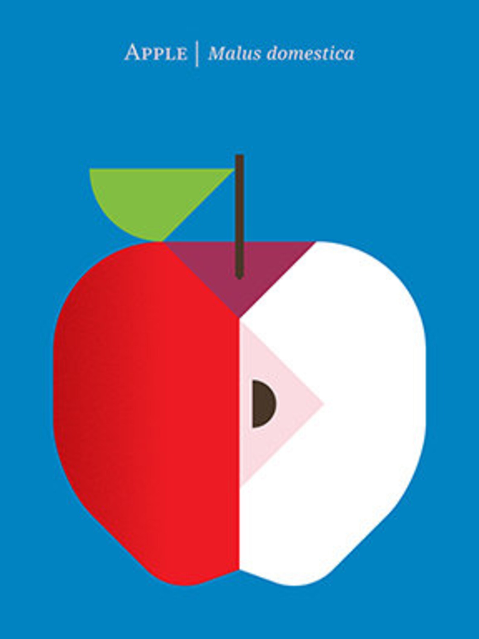 Modern Apple Print for the Kitchen, Office, Kids Room. Minimalist Apple ...