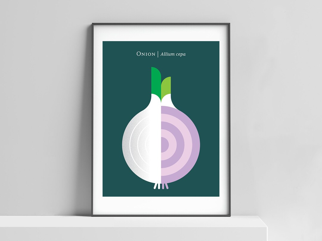 Modern Onion Art Print for the Kitchen, Home Interior. Mid Century ...