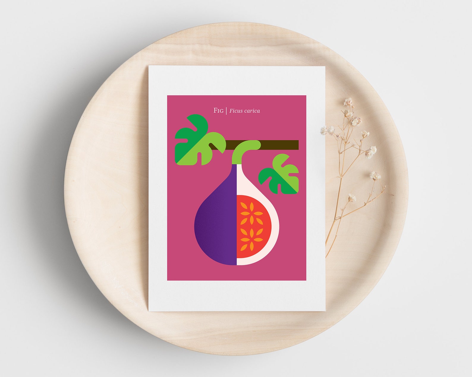 Fig Poster Fruit Print for Home, Office, Kids Room. Minimalist Art, Fig ...