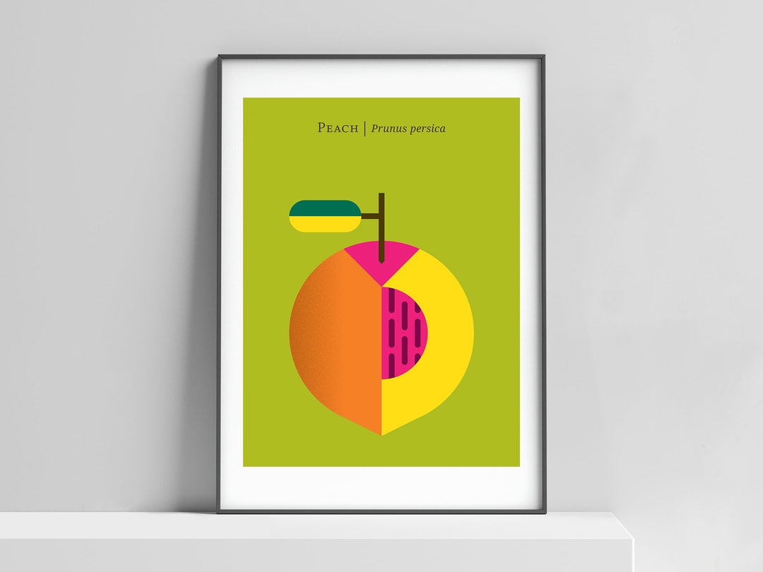 Modern Peach Art Print for the Home, Kitchen, Baby Room. Minimalist ...