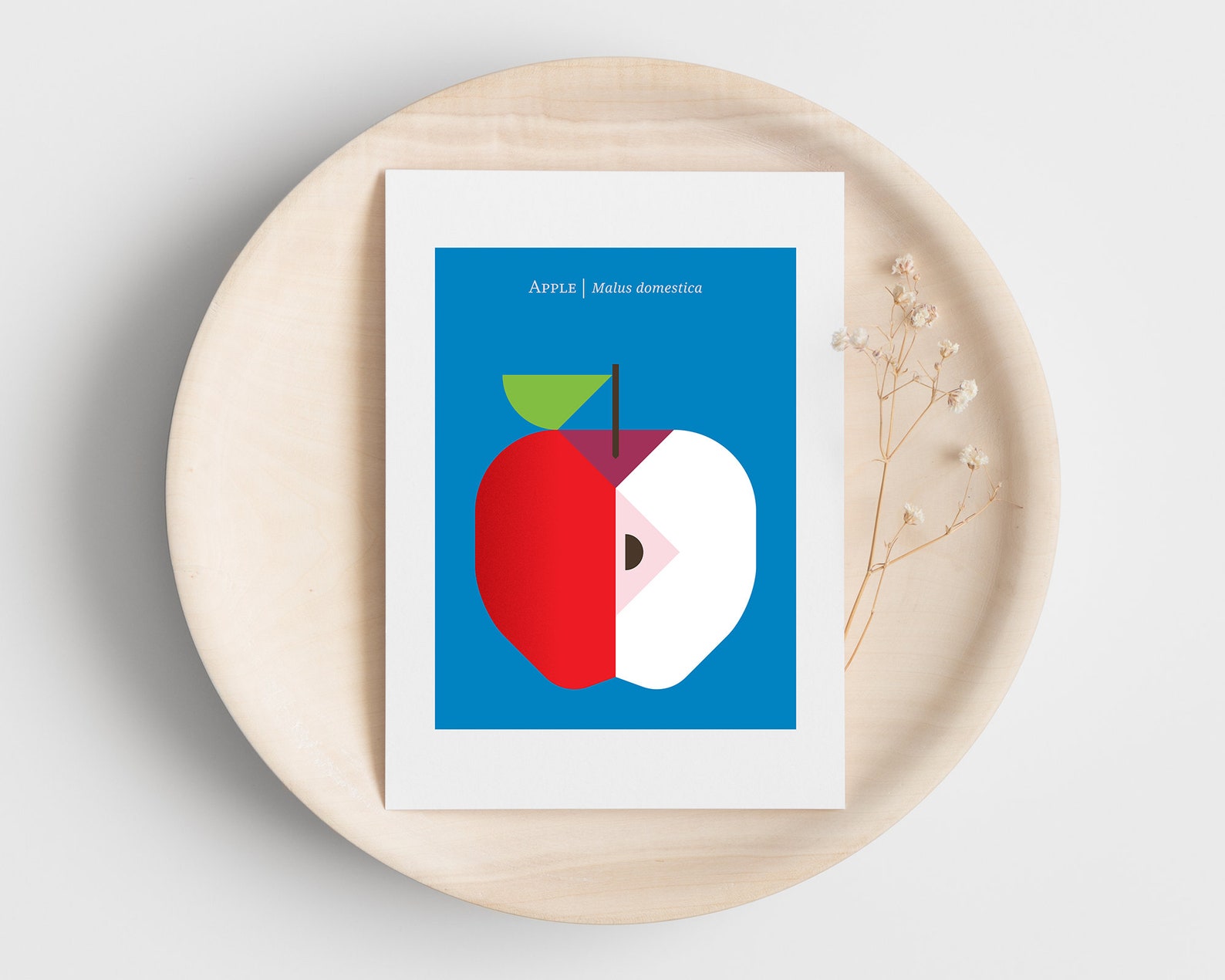 Modern Apple Print for the Kitchen, Office, Kids Room. Minimalist Apple ...