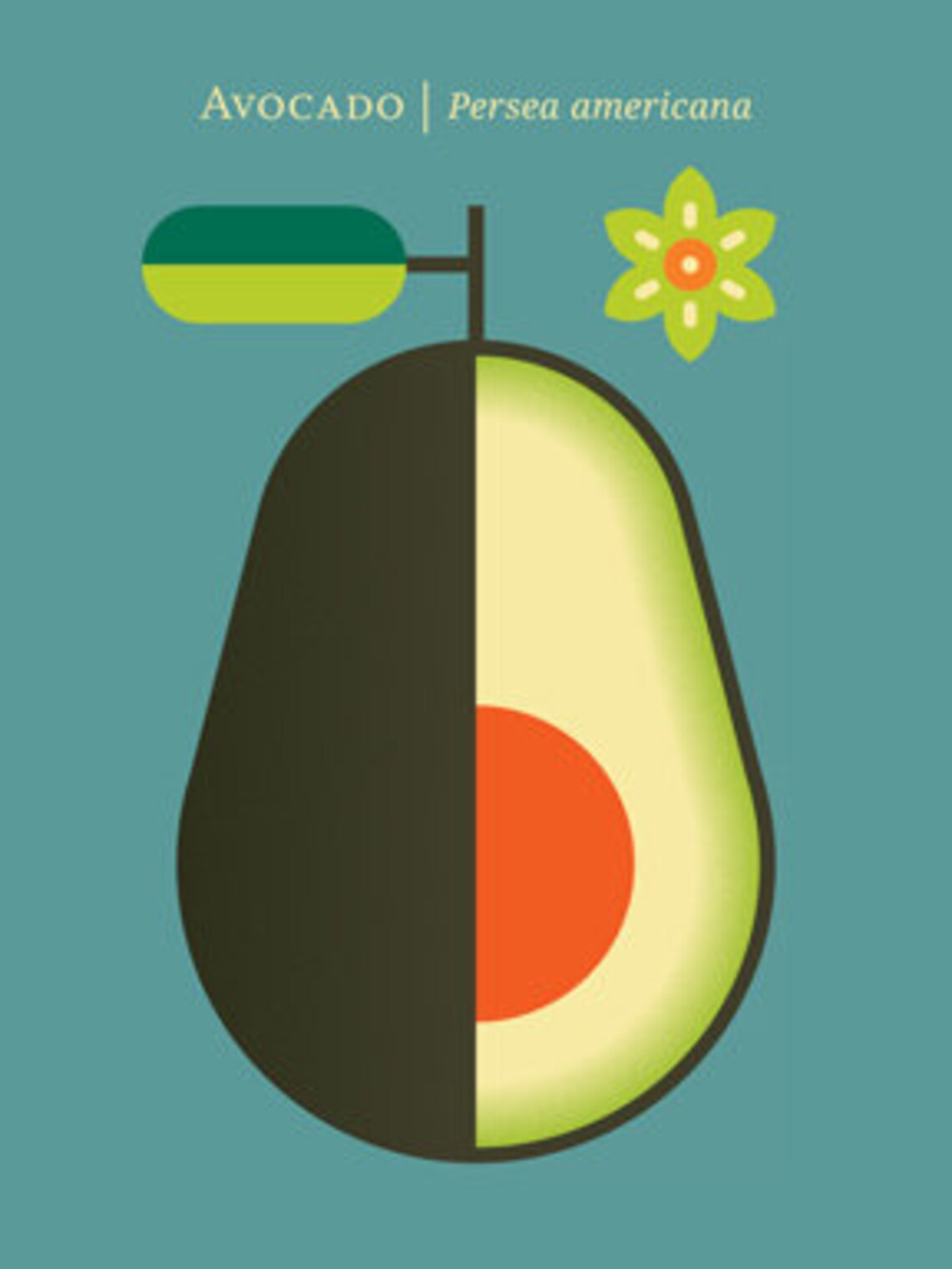 Modern Avocado Art Print for Home Office Kitchen. Vegetable - Etsy