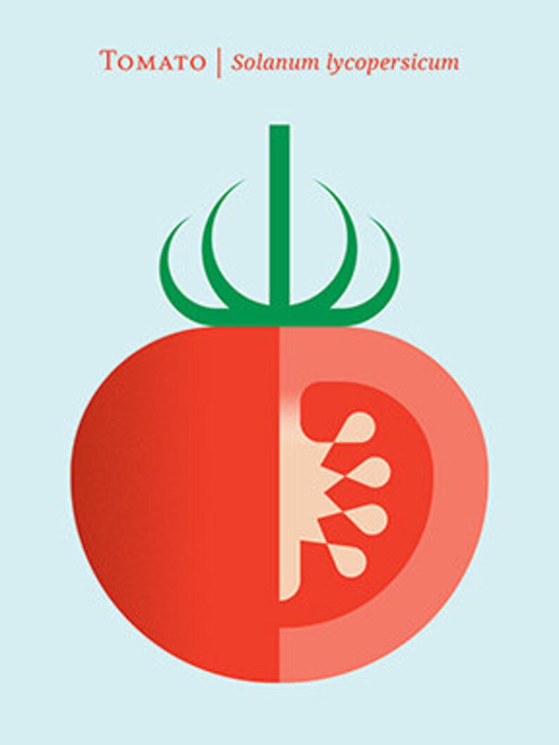 Modern Tomato Print for the Home. Kitchen Art, Vegetable Poster, Tomato ...