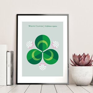 White Clover Modern Art Print for the Home, Office, Baby Room. Nature ...