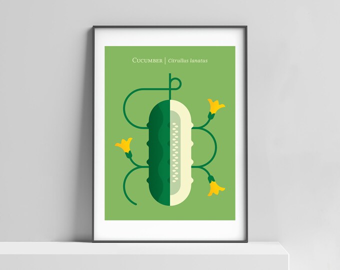 Cucumber Modern Art Print Illustration for the Home, Office, Kids Room ...