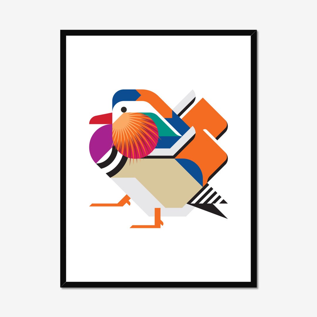 Framed Colorful Mandarin Duck Art Print for Home and Office Space ...