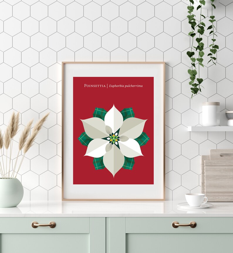 White Poinsettia Modern Art Print Poster for the Home – Christmas ...