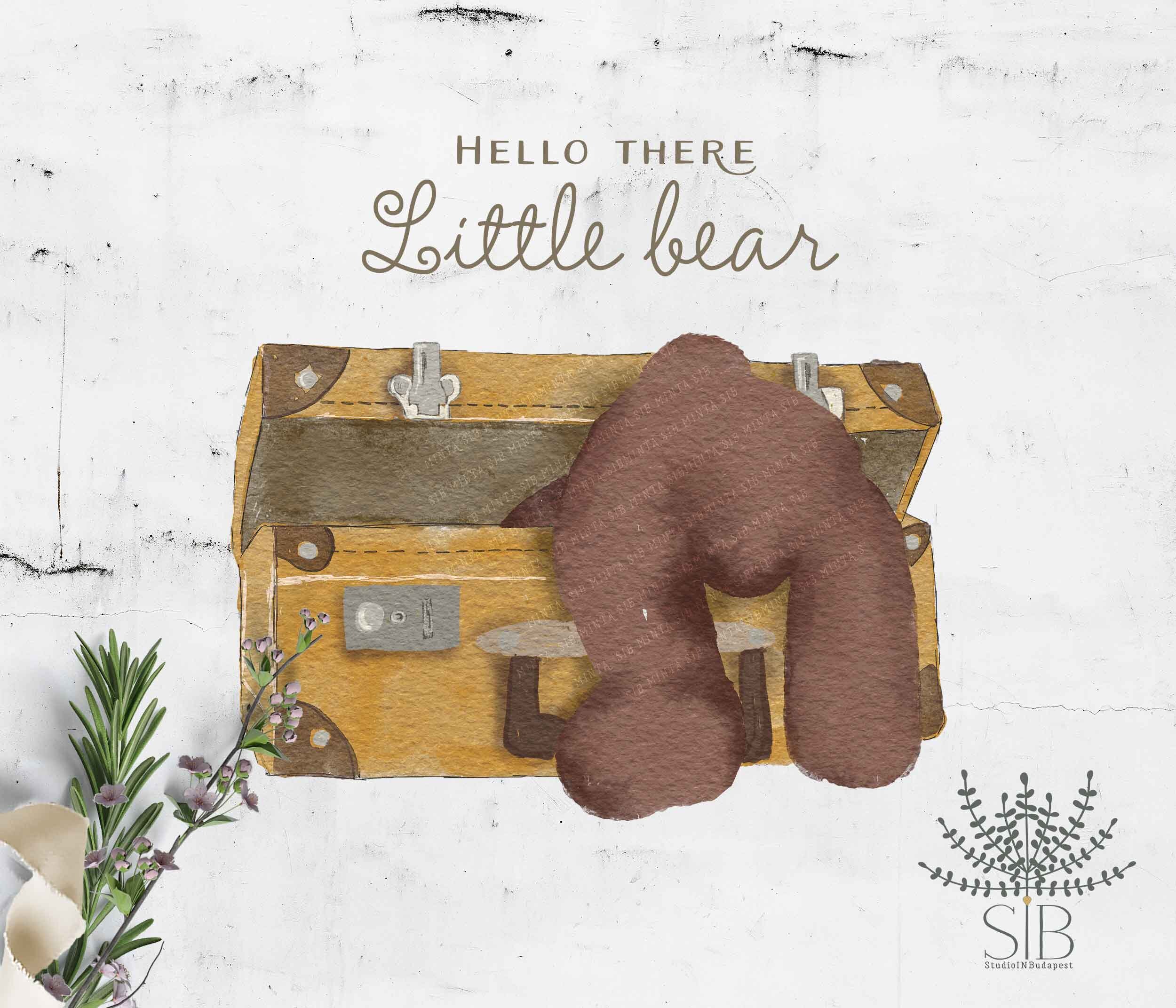 Cute Teddy Bear Watercolor Clipart: Hand Painted Teddy Bear | Etsy