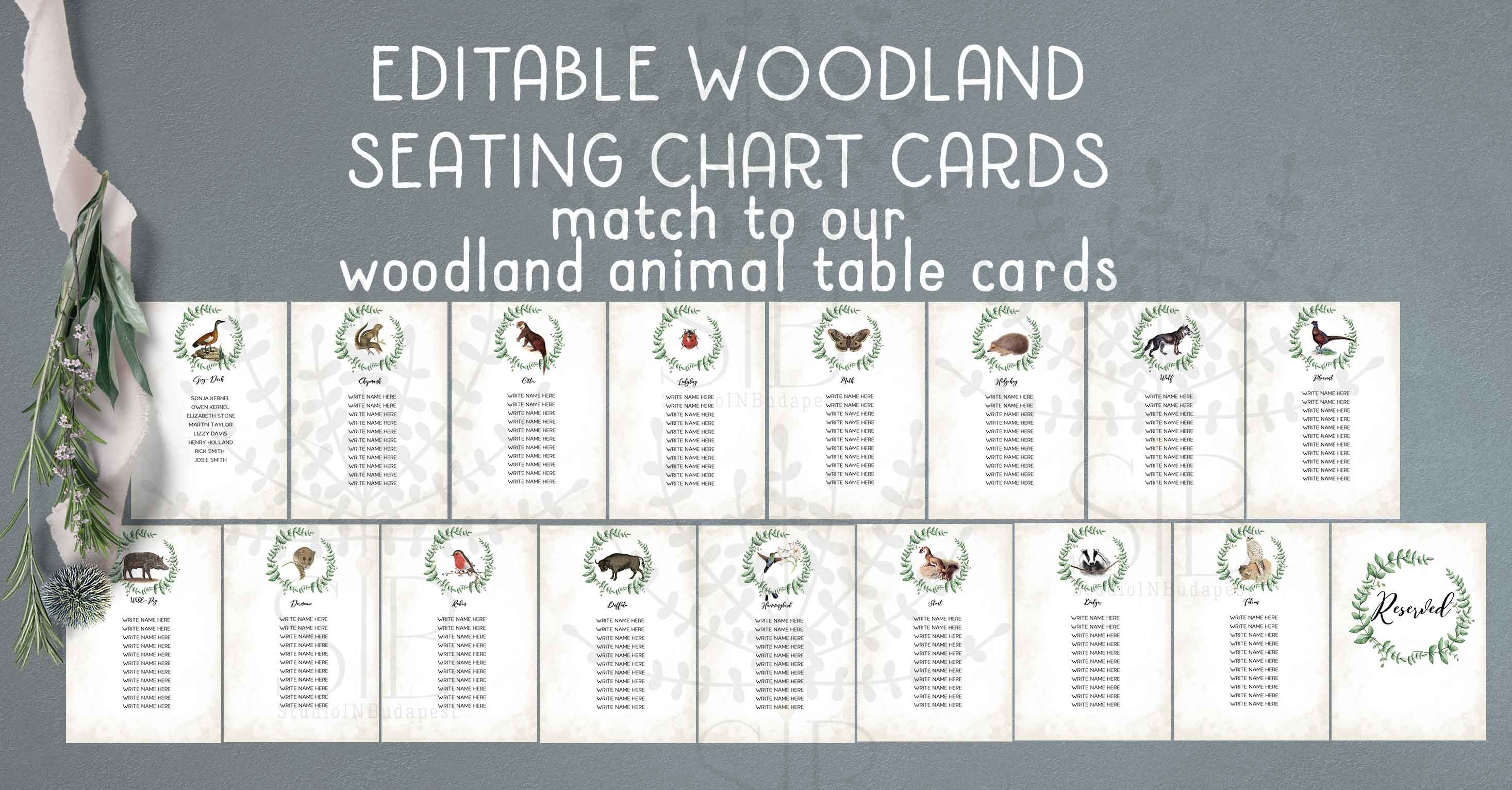 Woodland Animal Seating Chart Rustic Woodland Table Assignment | Etsy