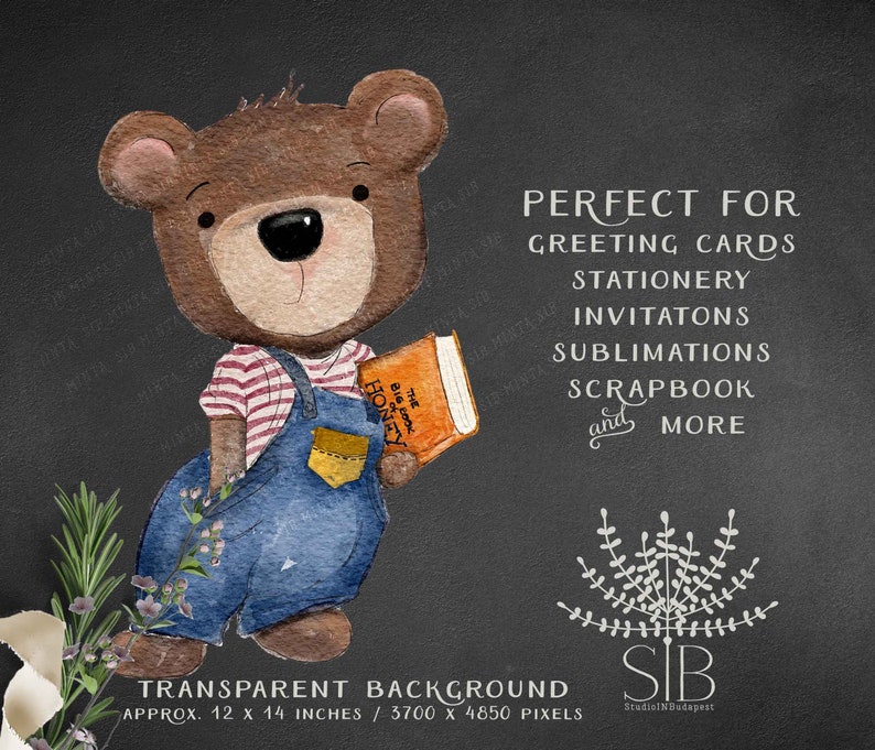 Cute Teddy Bear Watercolor Clipart: Hand Painted Teddy Bear / | Etsy