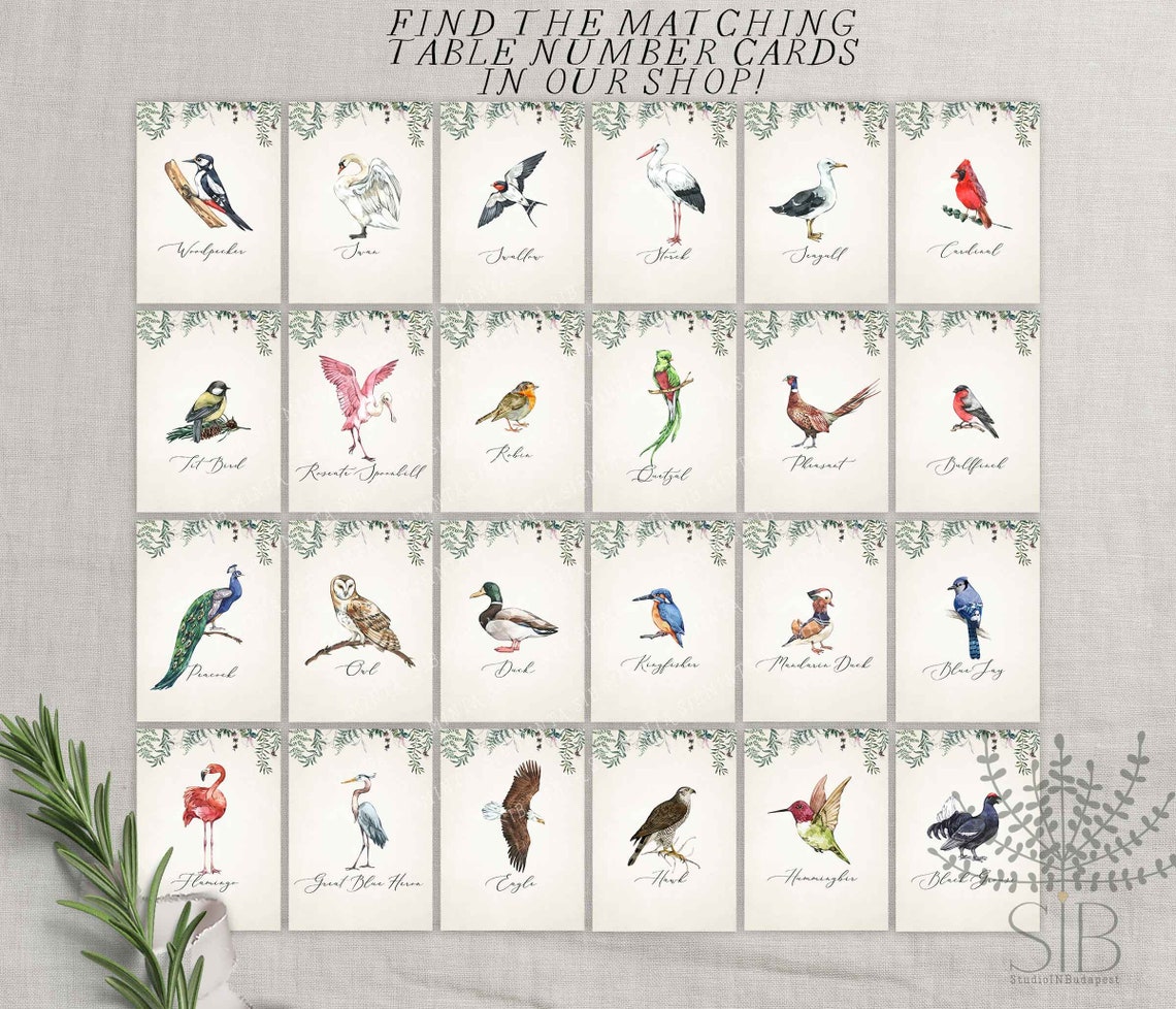 Outdoor Wedding Seating Chart Bird Seating Plan Find Your | Etsy