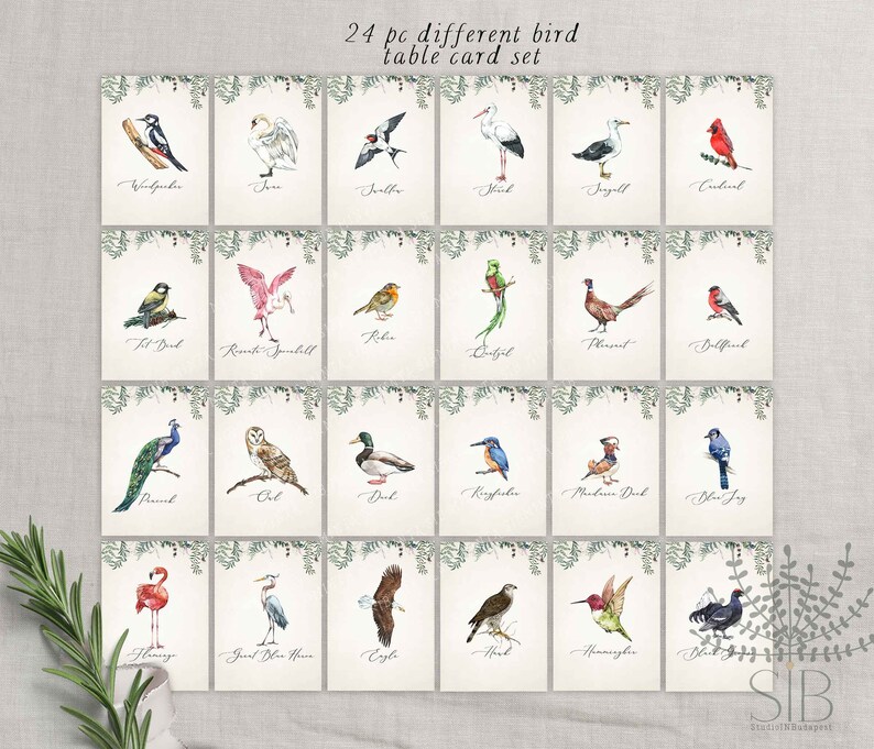 BIRDS TABLE NUMBERS With All Kind of Birds - Etsy