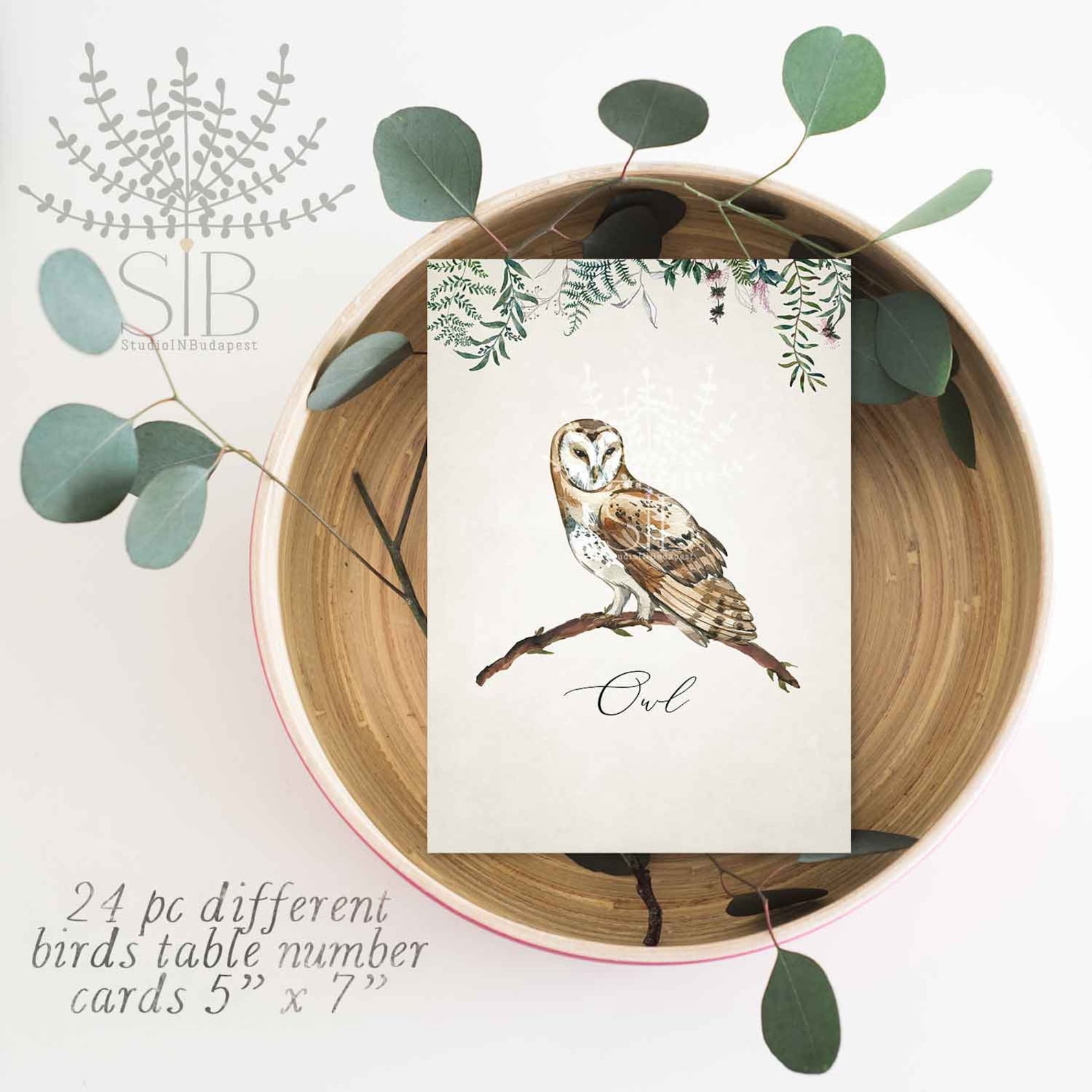 BIRDS TABLE NUMBERS With All Kind of Birds - Etsy