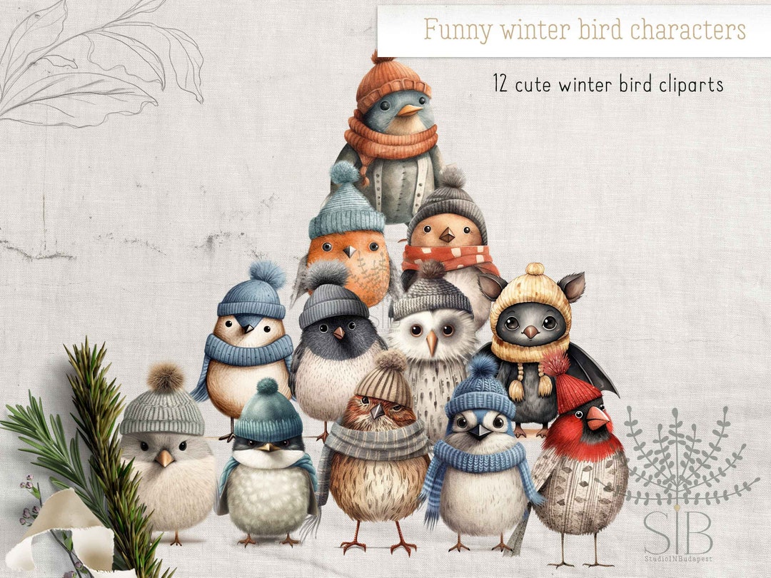 Birds Cute Whimsical Winter Bird Characters Clipart, Christmas Birds ...