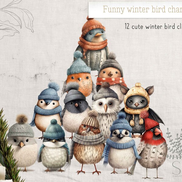 Winter Birds - Etsy