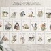 Jungle Animals Table Number Cards, Online Editable Table Number ...