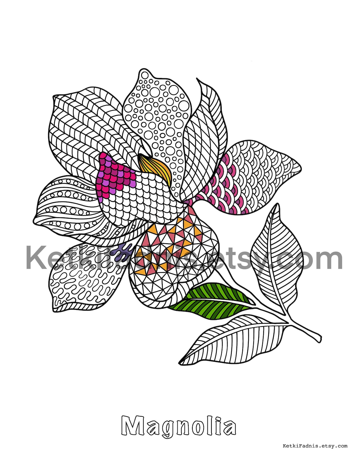Magnolia Flower Coloring Page Flower Coloring Page PDF - Etsy