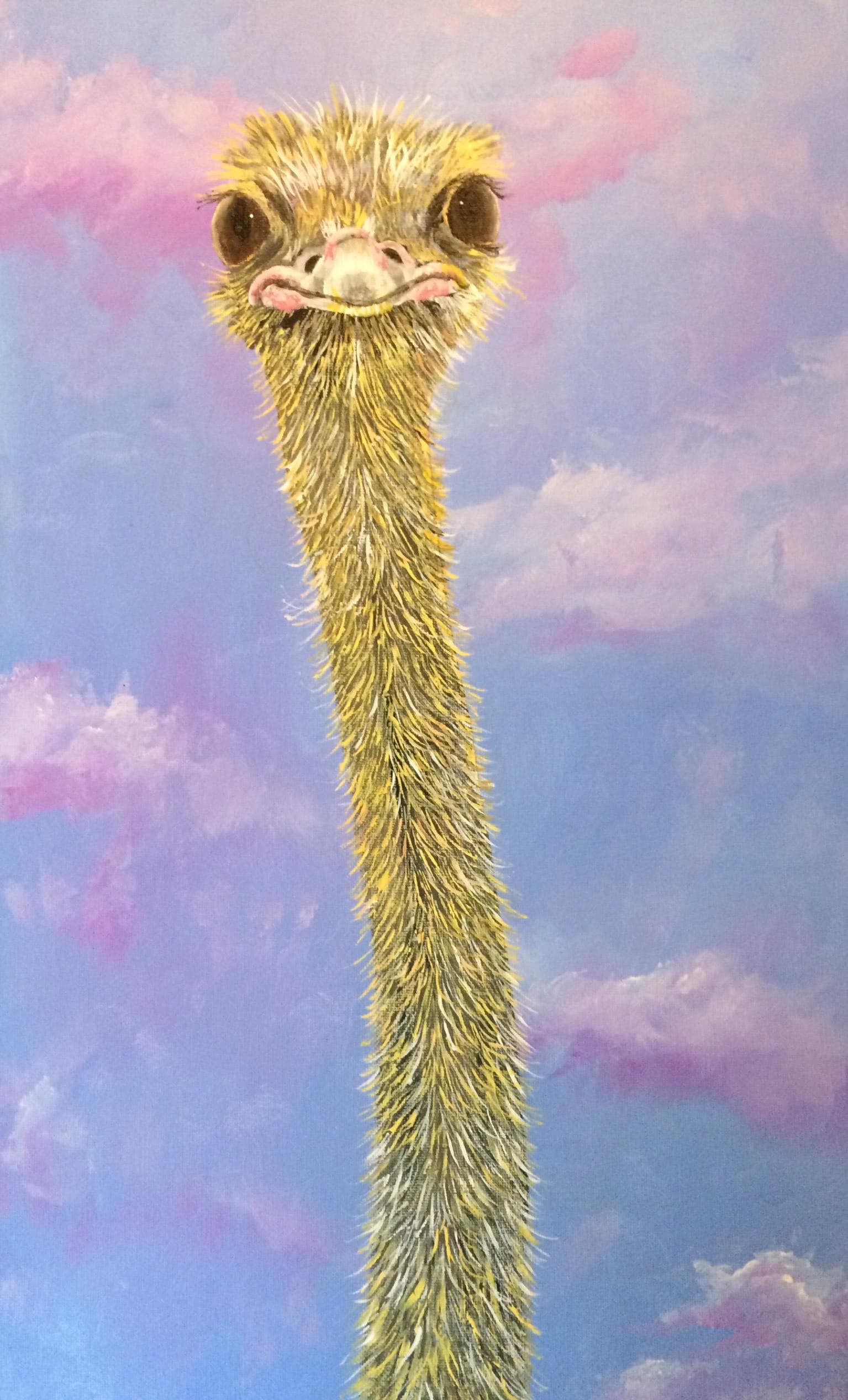 Head in the Clouds...animal Art, Ostrich, Ostrich Art, Africa - Etsy ...